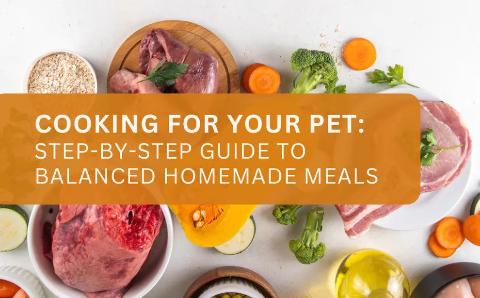 Cooking for Your Pet: A Step-by-Step Guide to Balanced Homemade Meals ...