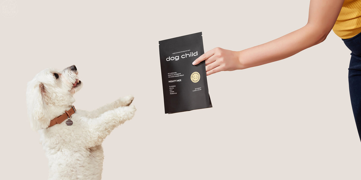 Home-Cooking for Dogs Made Simple with Dog Child Meal Mixes ...
