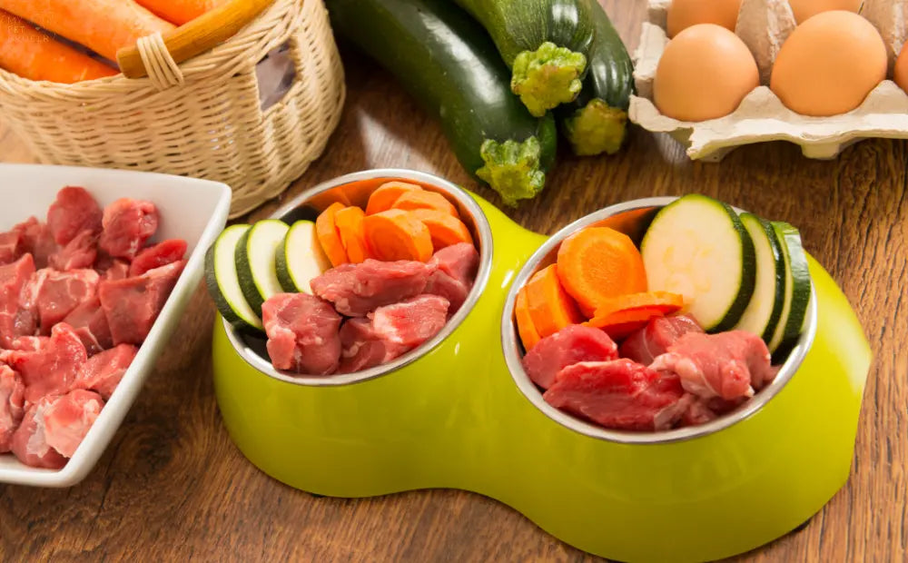 The Pros and Cons of a Homemade Diet for Dogs and Cats – mypetgrocer.com